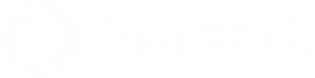 DataWalk - The Data Company